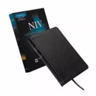 NIV Pitt Minion Reference Bible, Black Calf Split Leather, Red-letter ...