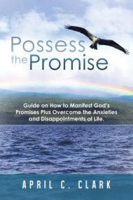 Possess the Promise: Guide on How to Manifest God's Promises Plus ...