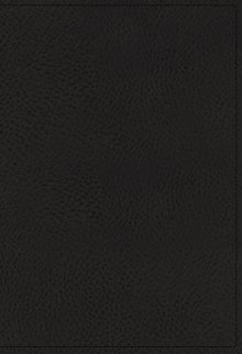 Eden Blog: The 5 Most Accurate Bible Translations (A 2026 Deep Dive)