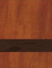 Eden Blog: Choosing the Right Bible: A Bible Buying Guide | Eden