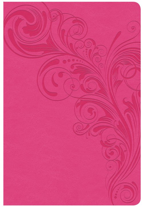 CSB Giant Print Reference Bible, Pink Leathertouch: Free Delivery at ...
