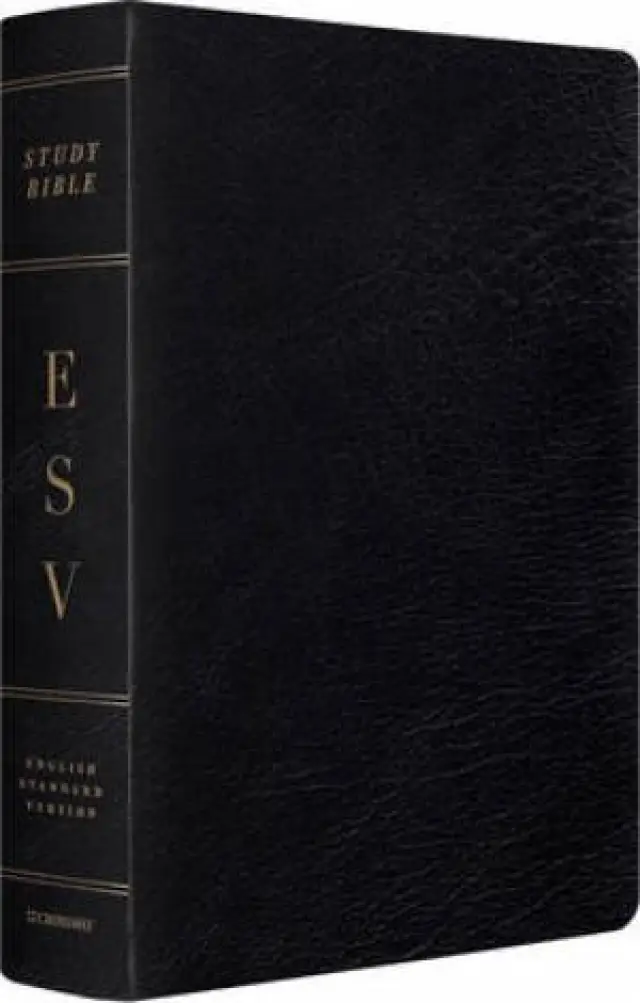 ESV Study Bible, Large Print, Genuine Leather, Black, Concordance ...