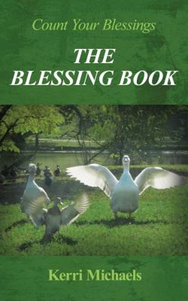 The Blessing Book: Count Your Blessings| Free Delivery when you spend £ ...