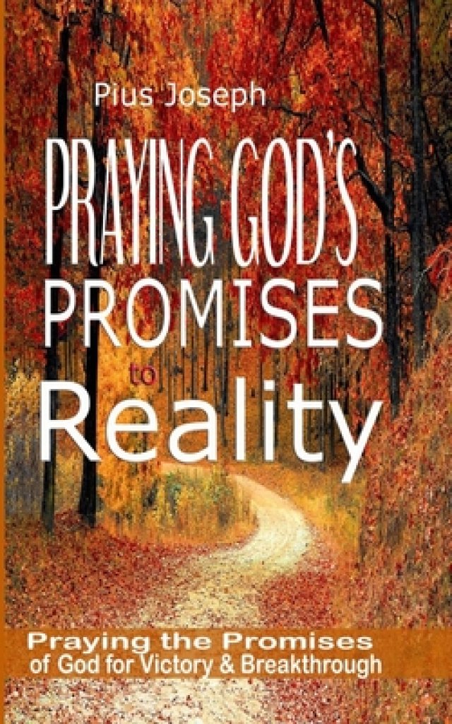 Praying God's Promises to Reality: Simple Ways of Praying the Promises ...