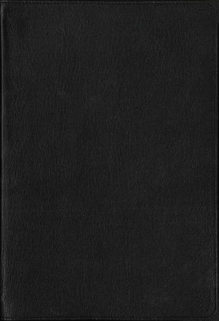 NRSVue, Holy Bible with Apocrypha, Premium Goatskin Leather, Black ...
