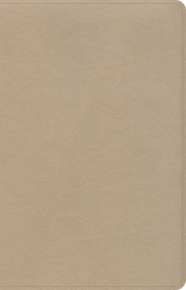 CSB Large Print Personal Size Reference Bible, Gold LeatherTouch| Free ...