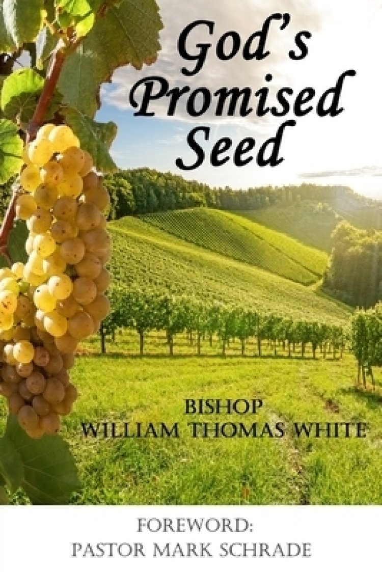 God's Promised Seed: Book Studies of Jesus the Christ | Free Delivery ...