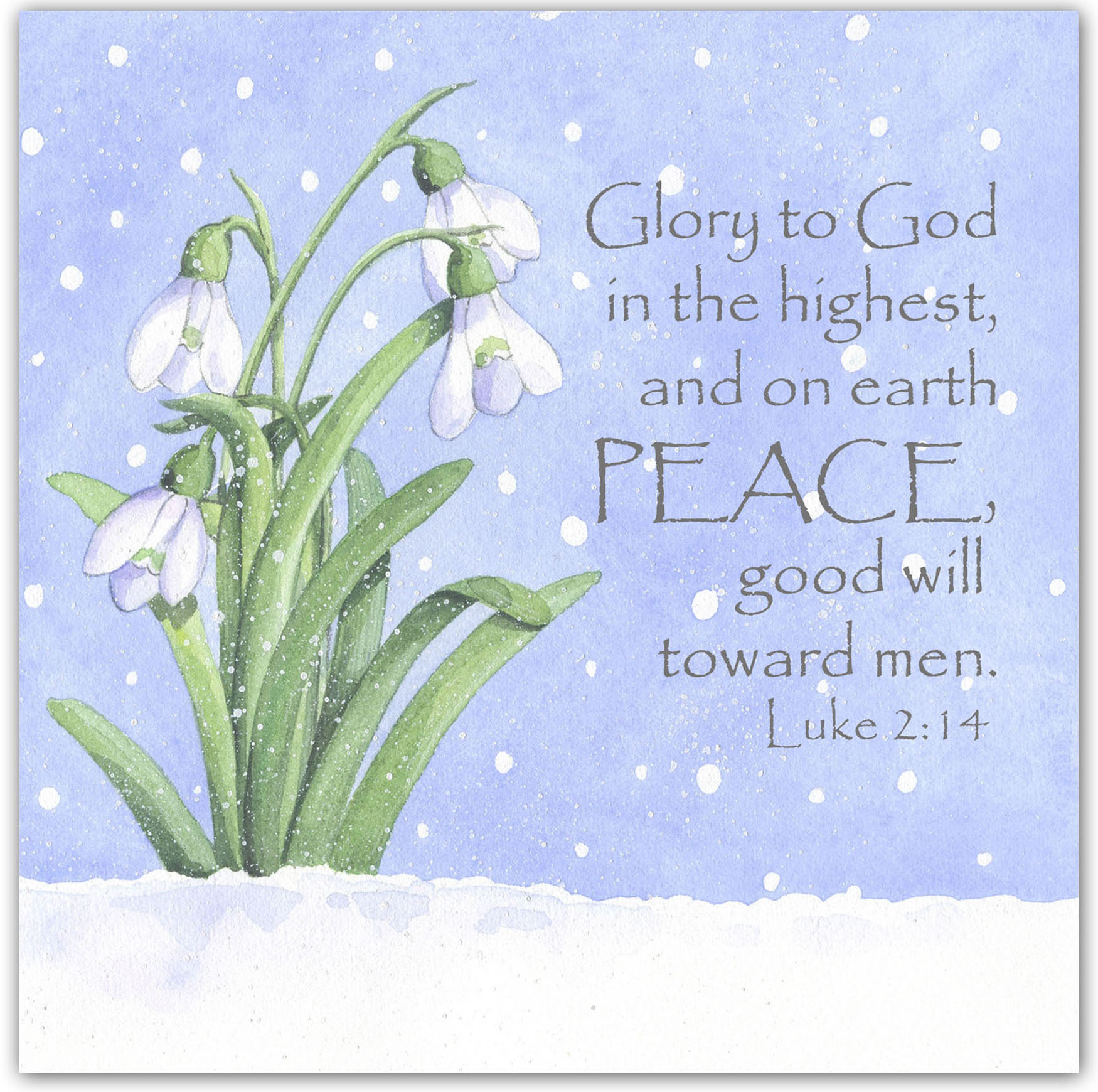 Snowdrops (Pack of 5) Christian Christmas Cards| Free Delivery when you ...