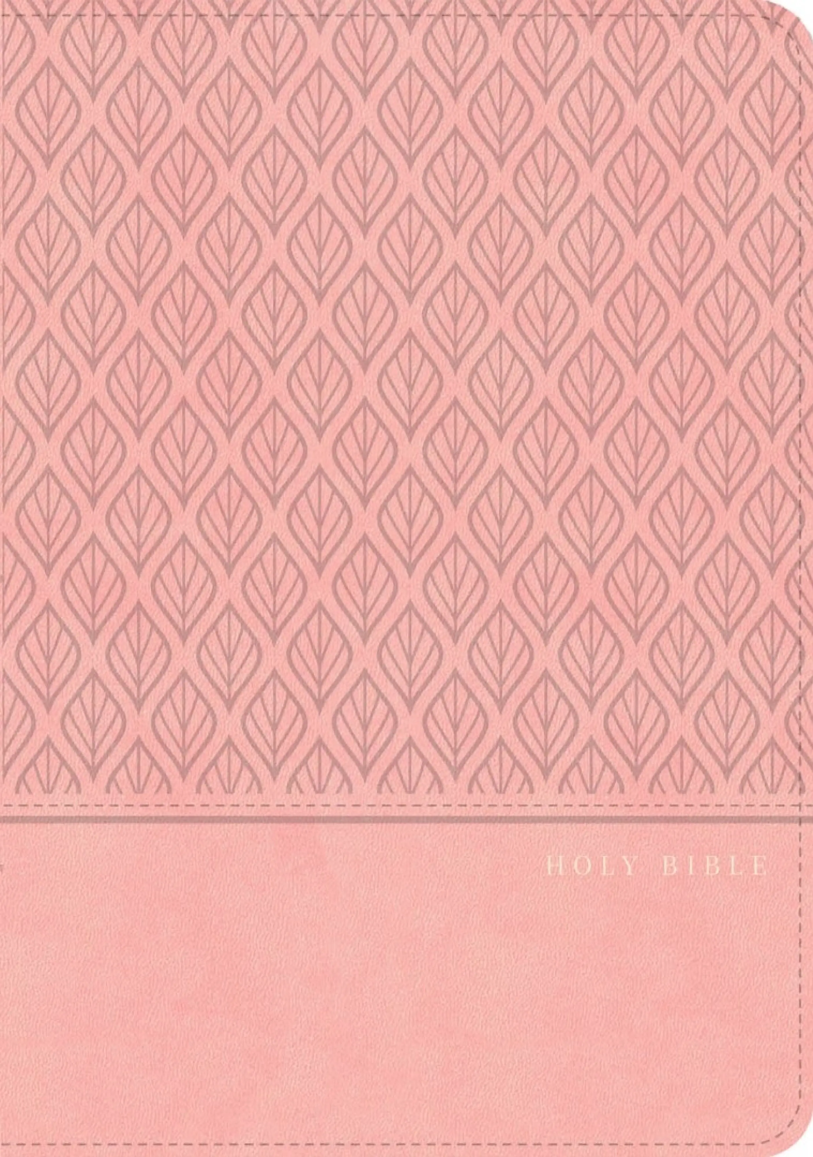CSB Personal Size Giant Print Bible, Digital Study Ed., Pink: Free ...