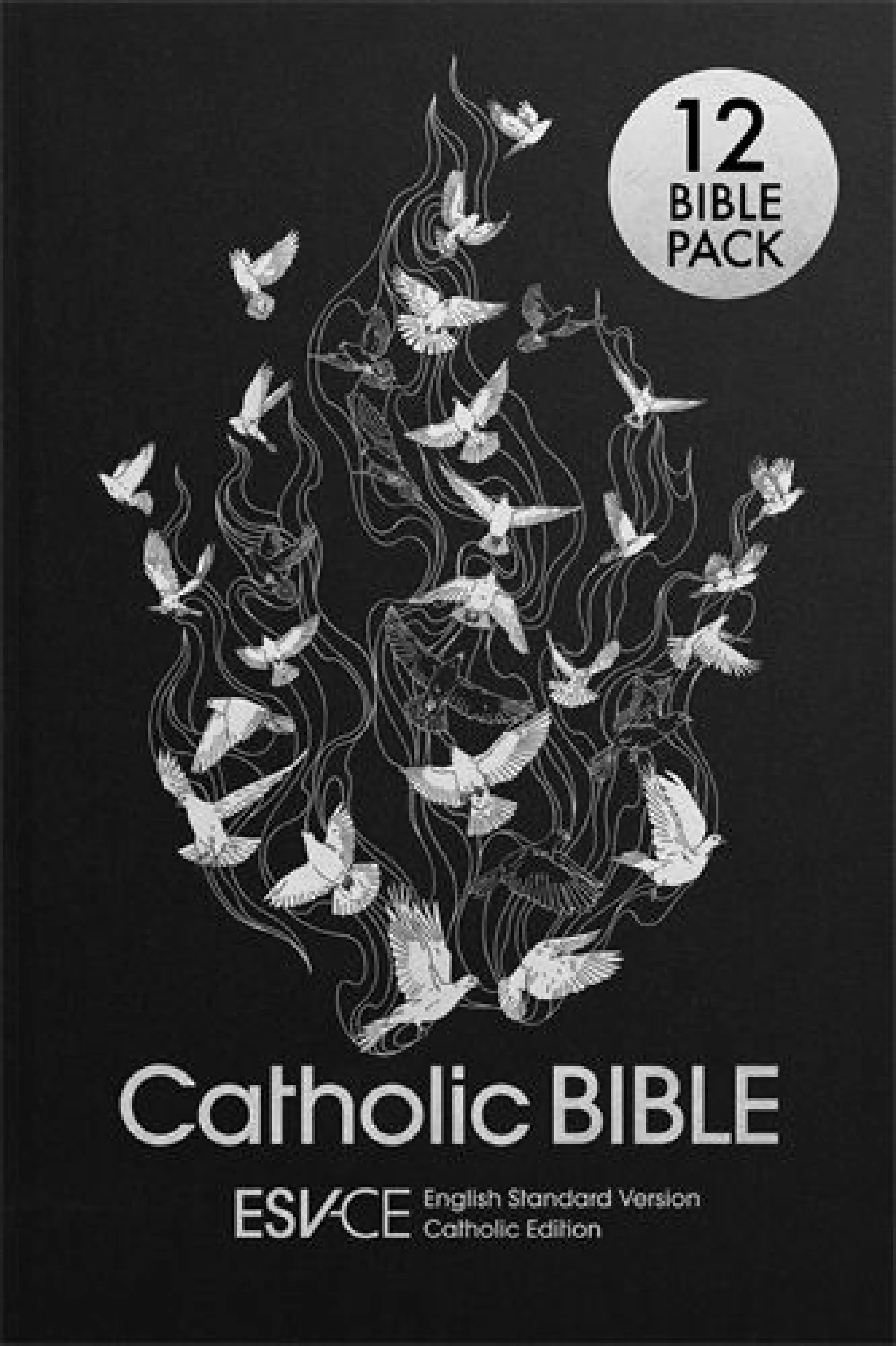 ESV–CE Catholic Bible, Anglicized – English Standard Version – Catholic ...