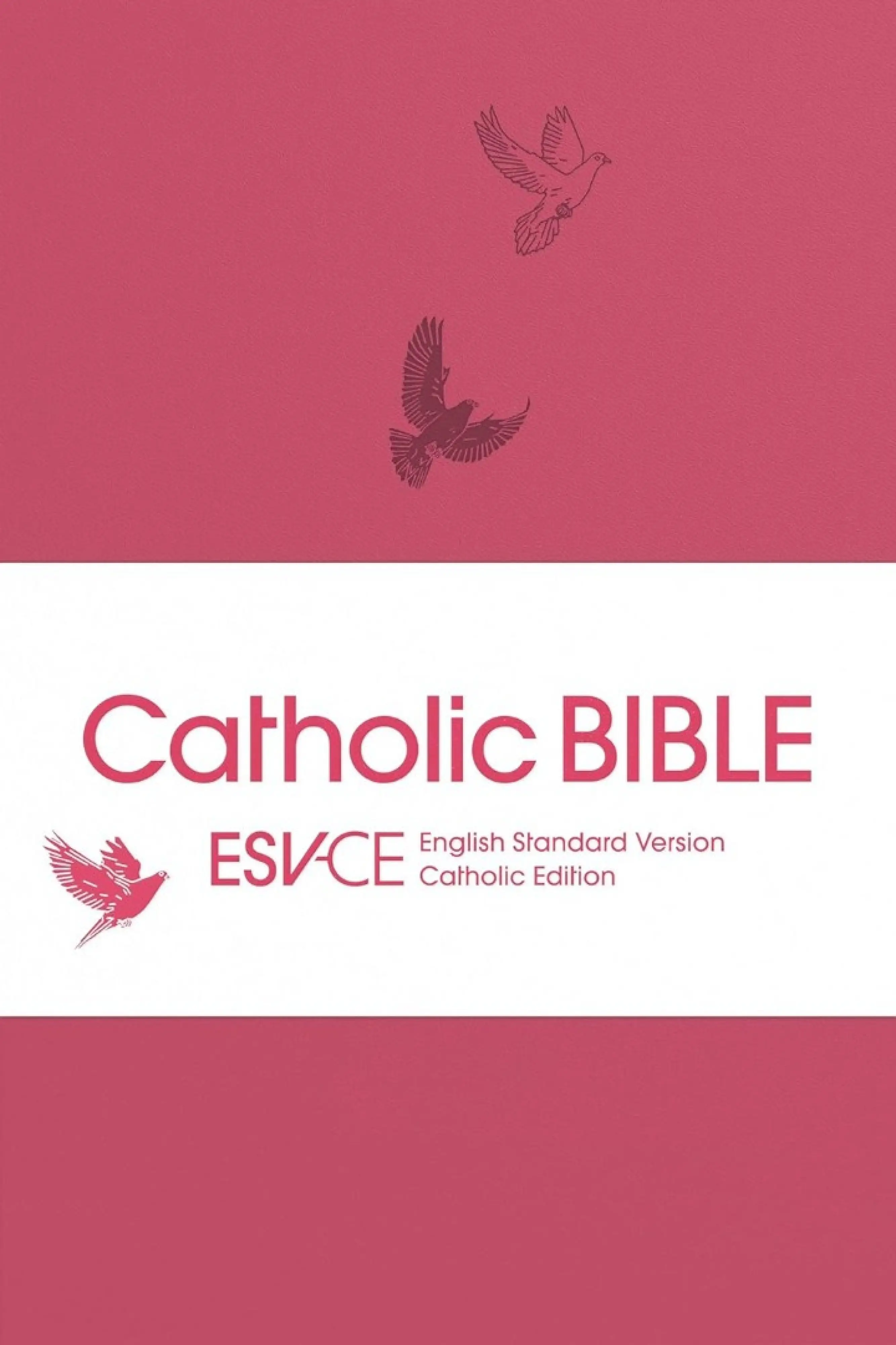 ESV-CE Catholic Bible, Anglicized Pocket Edition: Free Delivery at Eden ...