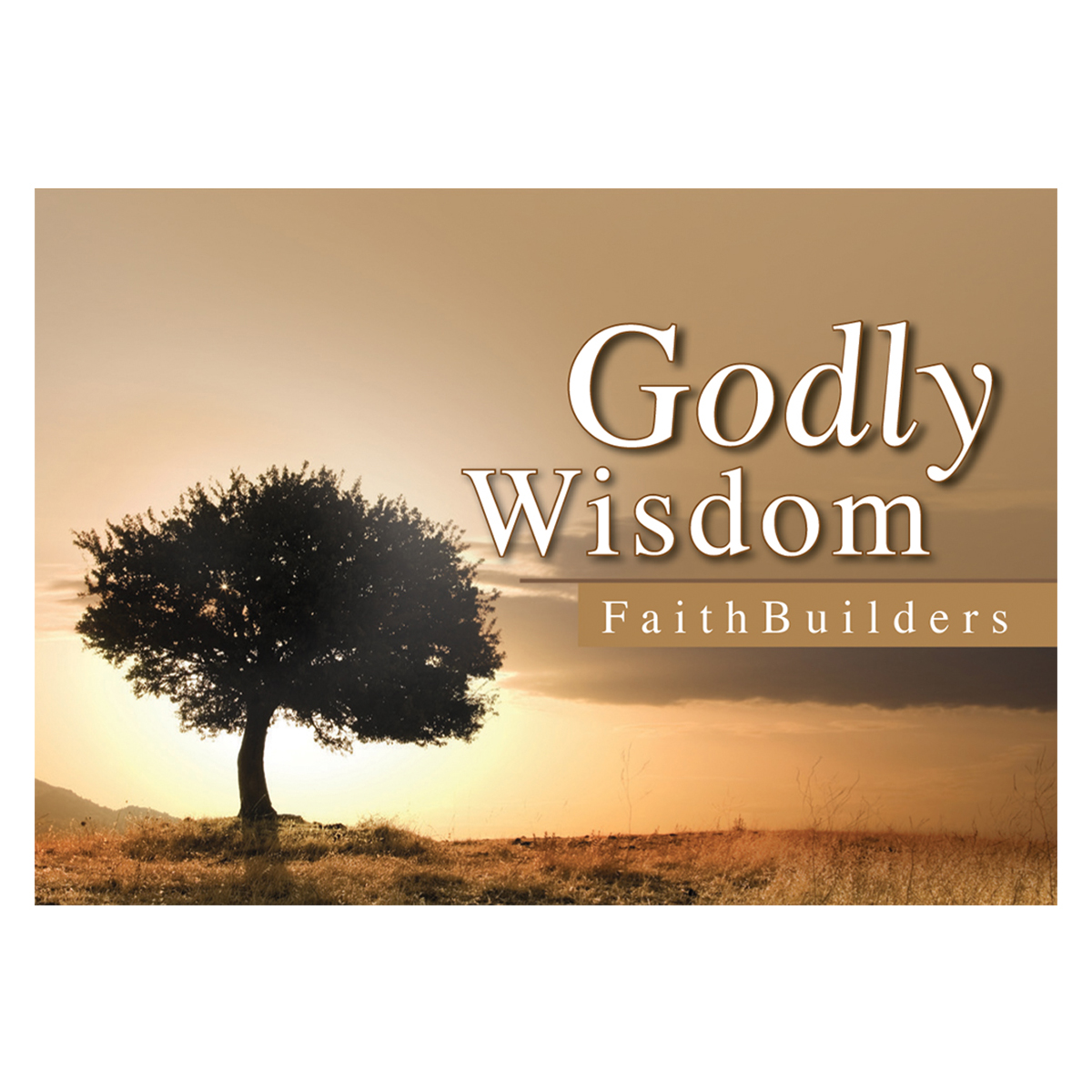 Godly Wisdom Faithbuilders | Free Delivery when you spend £10 at Eden.co.uk