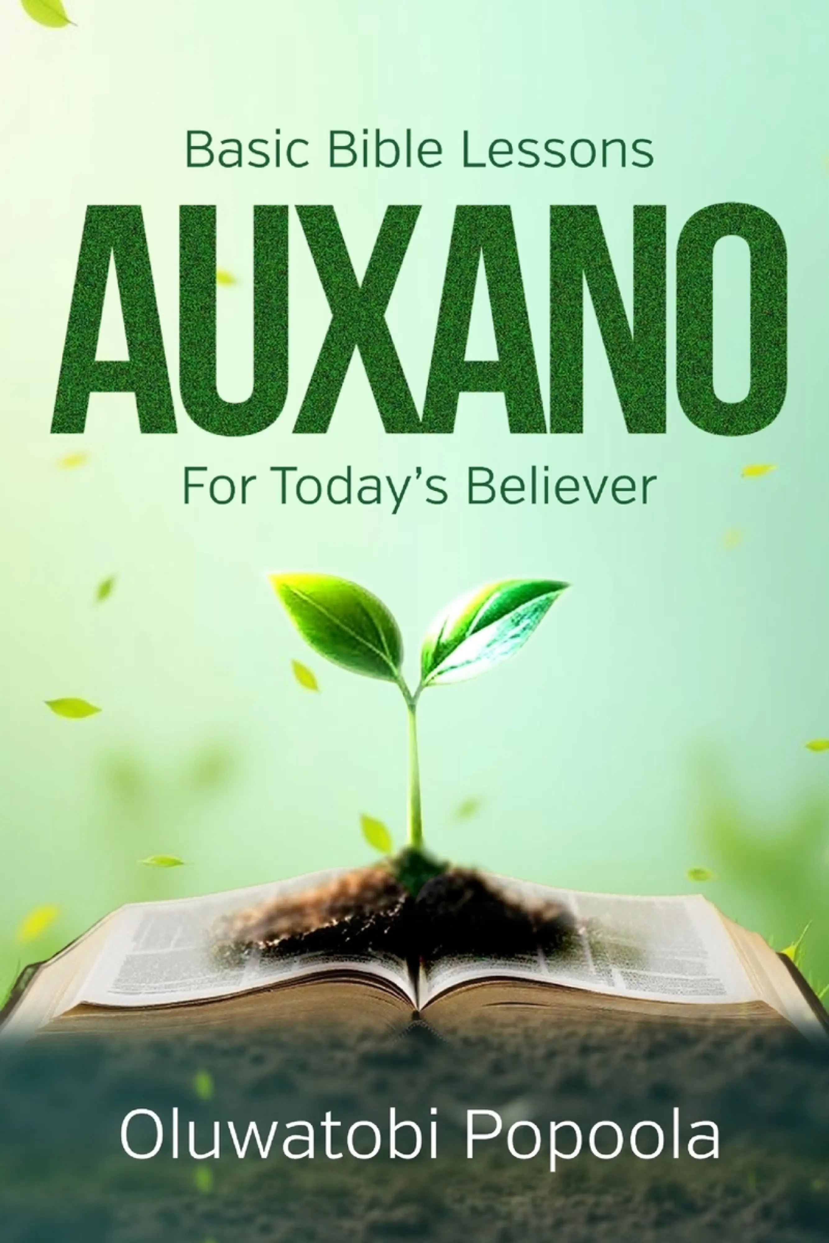 AUXANO: Basic Bible Lessons For Today's Believer: Free Delivery when ...
