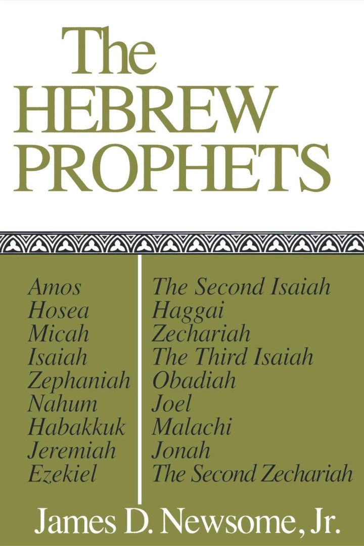 Hebrew Prophets by James D. Newsome | Free Delivery at Eden