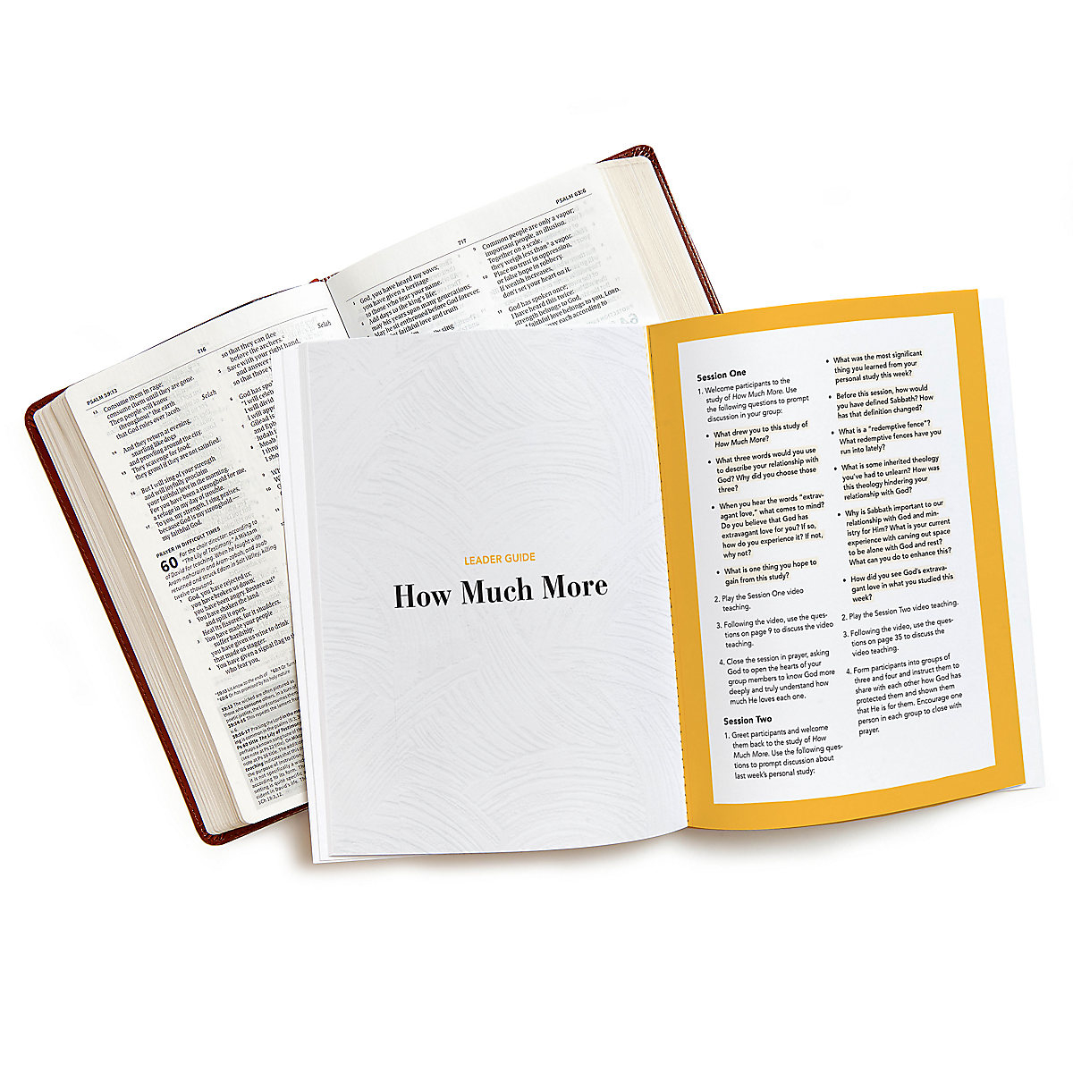 How Much More Bible Study Book by Lisa Harper | Eden