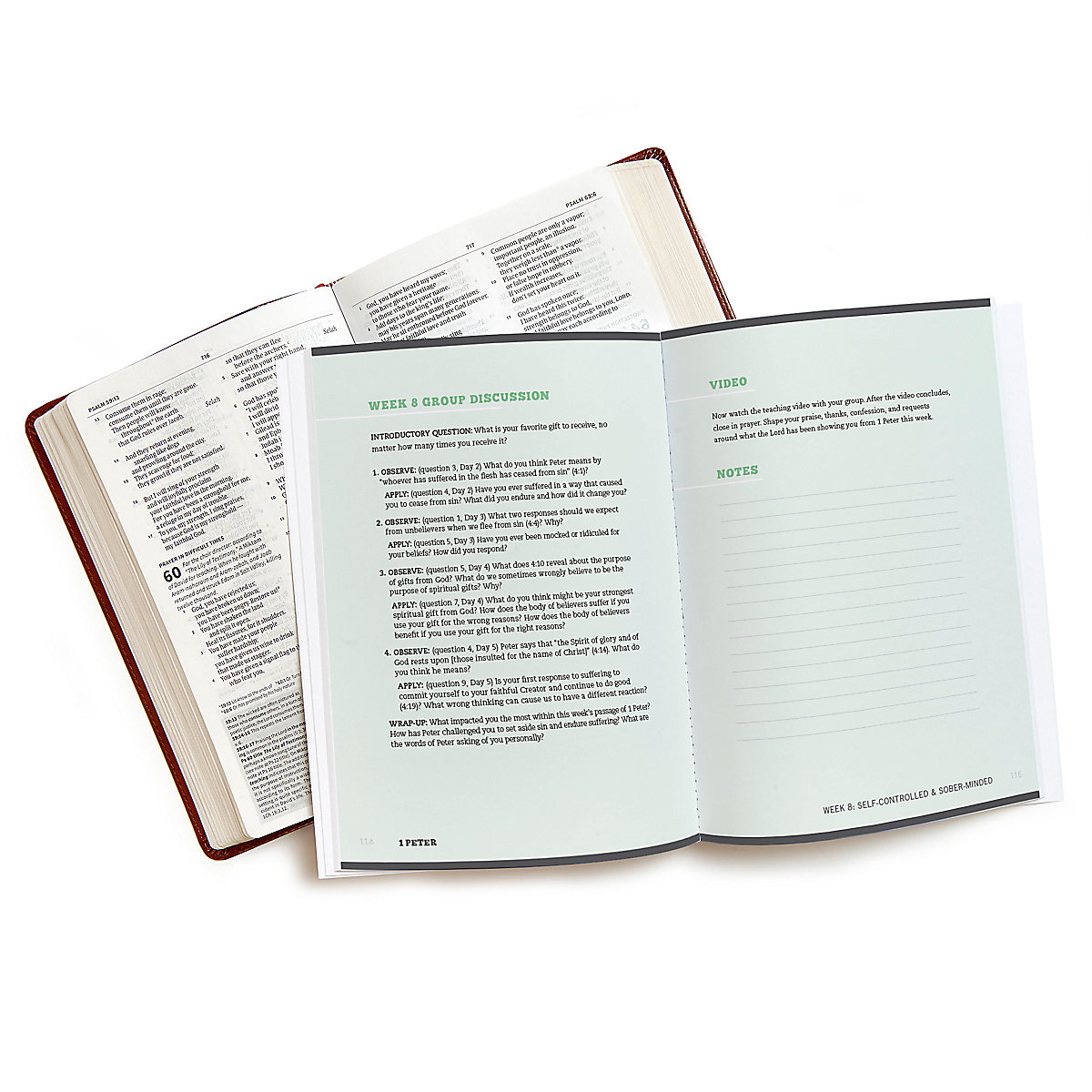 1 Peter: Living Hope in Christ Bible Study Book - Jen Wilkin | Eden