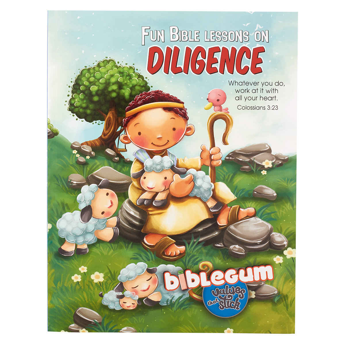 Bible Lessons on Diligence by Agnes & Salem de Bezenac | Fast Delivery