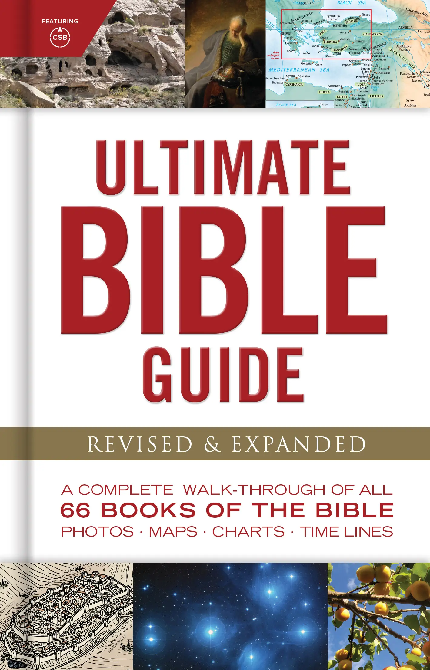 Ultimate Bible Guide: Free Delivery at Eden.co.uk