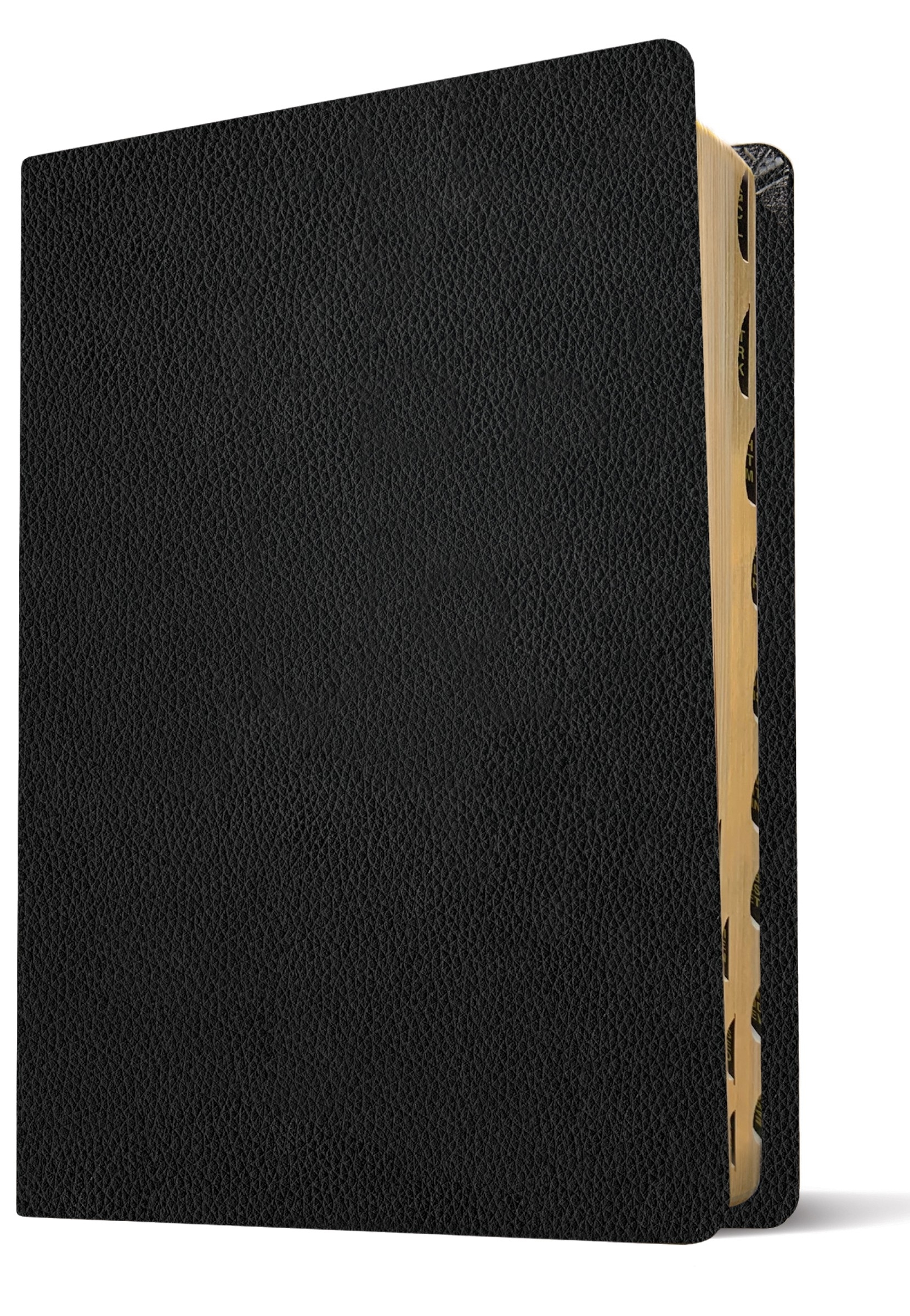 Every Man s Bible NIV Large Print Genuine Leather Black Indexed every-man-s-bible-niv-large-print-genuine-leather-black-indexed