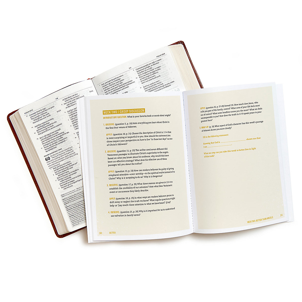 Better: A Study of Hebrews Bible - 10 Session Bible Study by Jen Wilkin ...