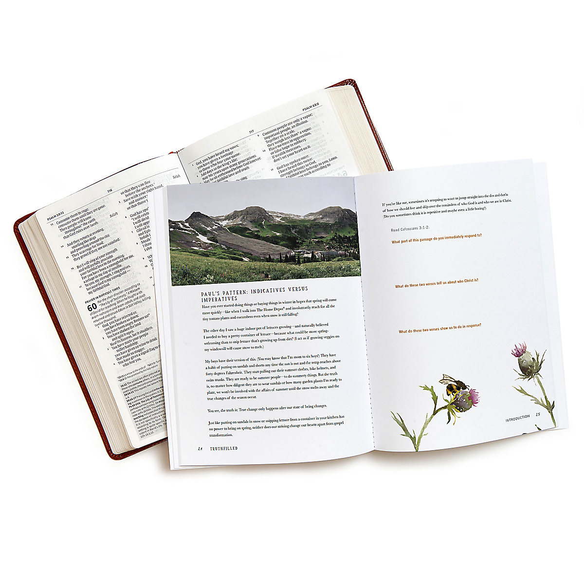 Truthfilled - Bible Study Book by Ruth Chou Simons | Eden.