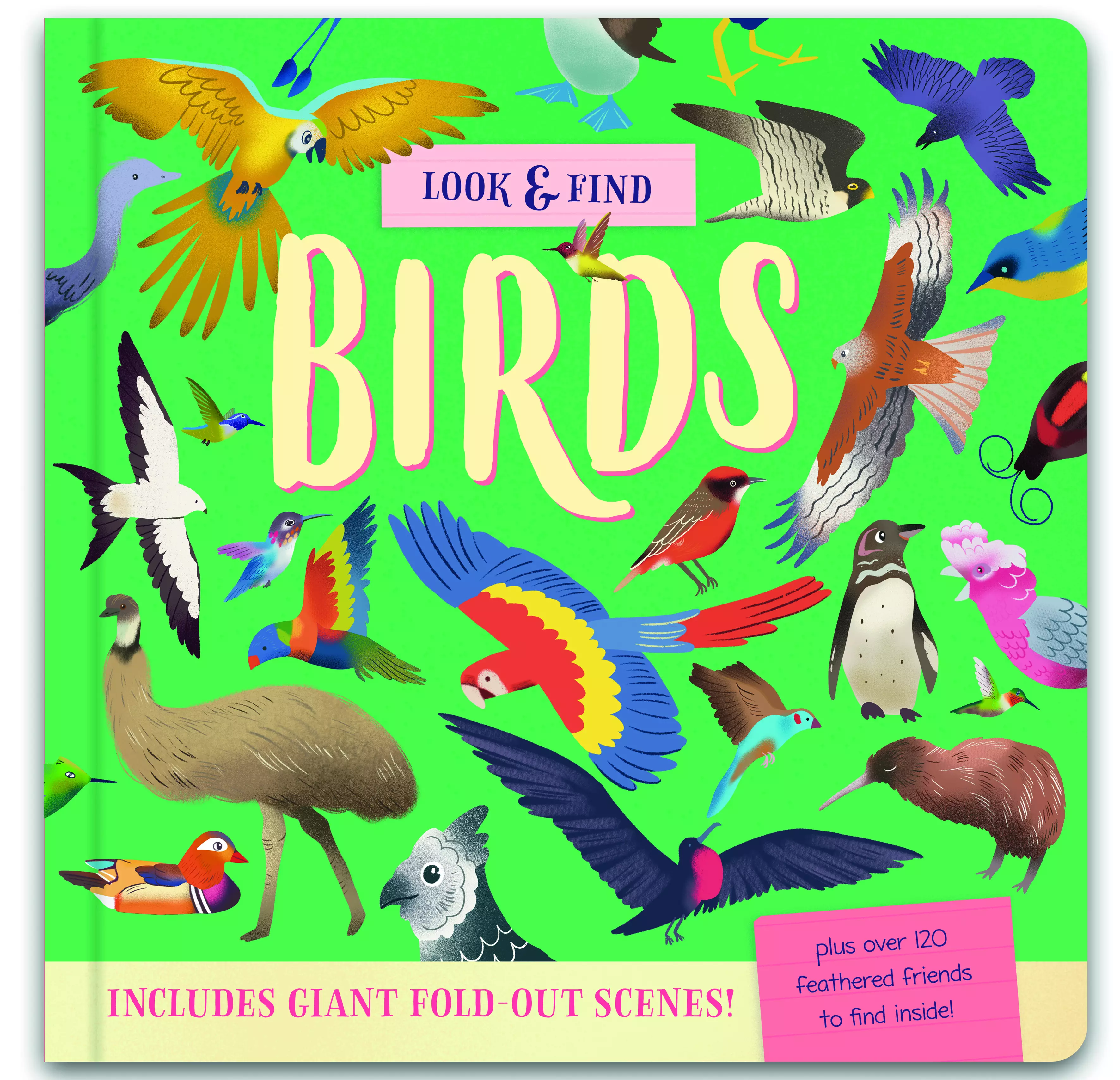 Nature Look And Find Board Book - Birds: Free Delivery at Eden.co.uk