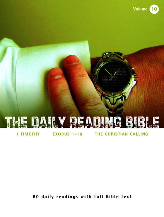 The Daily Reading Bible Vol 10 by Volume 10 [Daily Reading Bible]