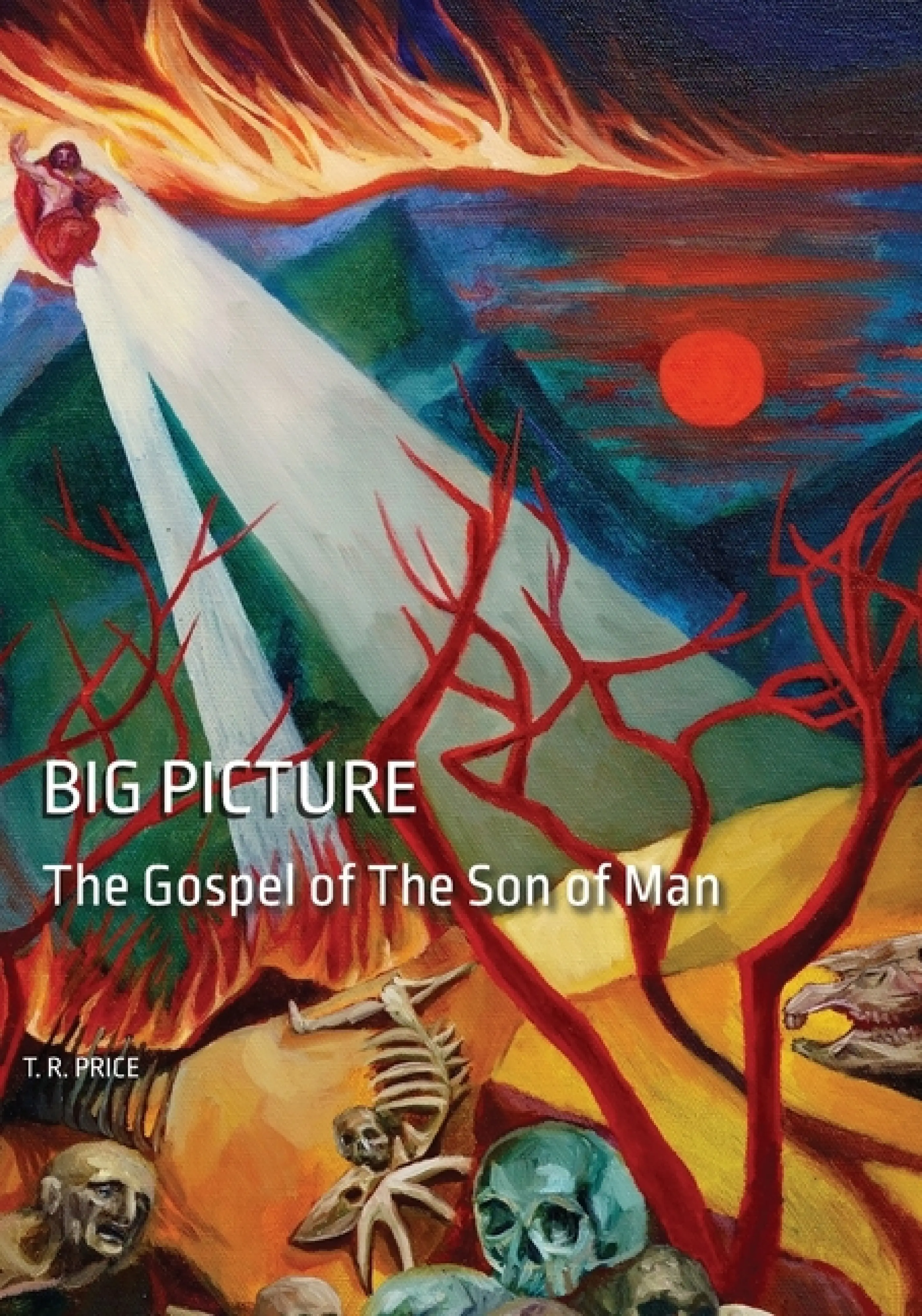 BIG PICTURE - Large Print: The Gospel of The Son of Man: Free Delivery ...